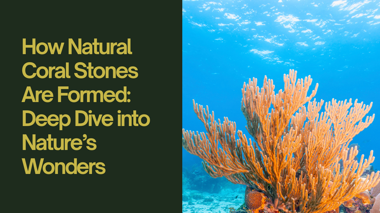 How Natural Coral Stones Are Formed: Deep Dive into Nature’s Wonders ...