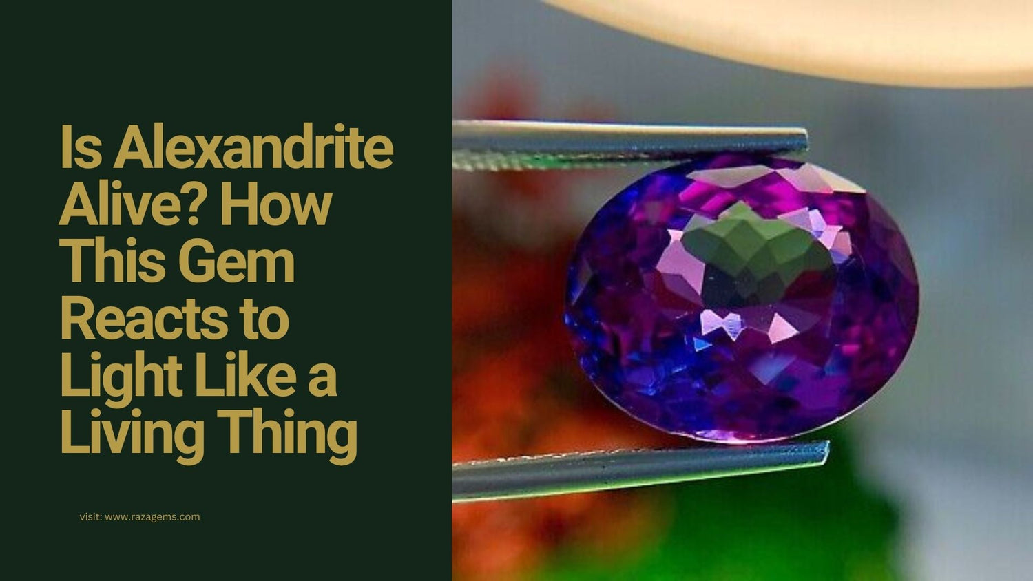 Mystery of Alexandrite: A Gemstone That Never Looks the Same – Raza ...