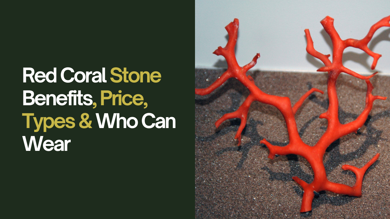 Red Coral Stone Benefits, Price, Types And Who Can Wear – Raza Gems LLC